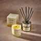Reed Diffusers & Refills – NEOM Wellbeing US