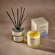 Reed Diffusers & Refills – NEOM Wellbeing US